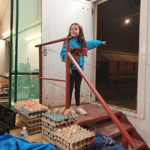 News - Fresh Start For Hens
